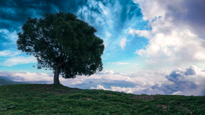Small Steps to Improve Mental Well-Being | Calm Health