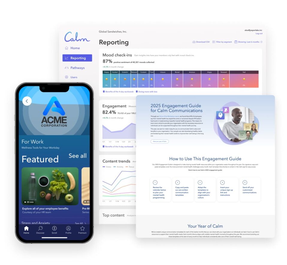 Calm for Organizations